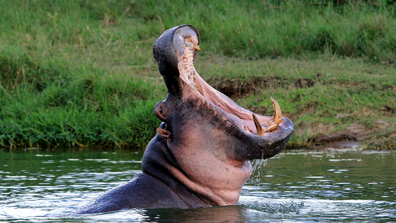 Foreign PR firms to showcase Uganda’s best-kept tourism secrets - Eagle ...
