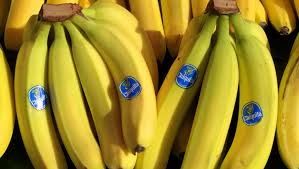 GMO bananas - Eagle Online