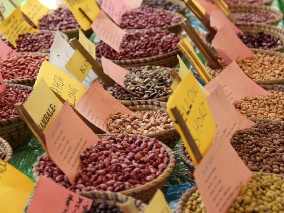 Beans trading fast in Uganda’s major markets as maize price declines ...