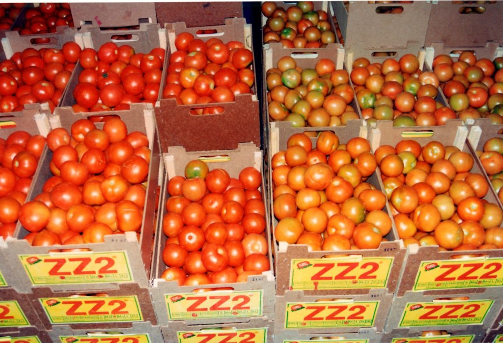 New project to increase market access to regional products begins ...