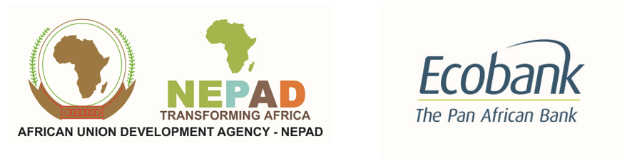 Business Bootcamp for 100 SME’s in Africa - Eagle Online