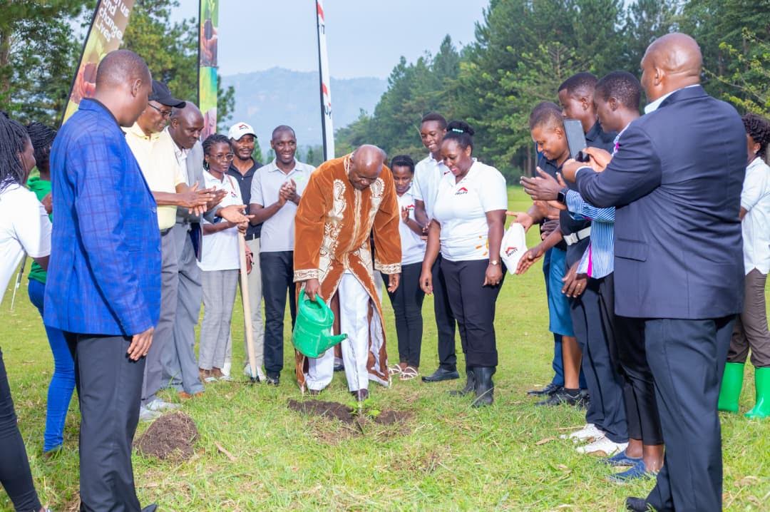 Equity Bank Uganda to plant 60,000 trees across Bugisu Sub-region ...