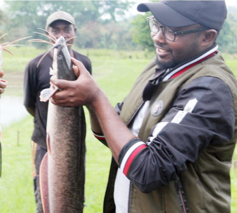 Uganda gains EU approval for farmed fish exports, boosting aquaculture ...